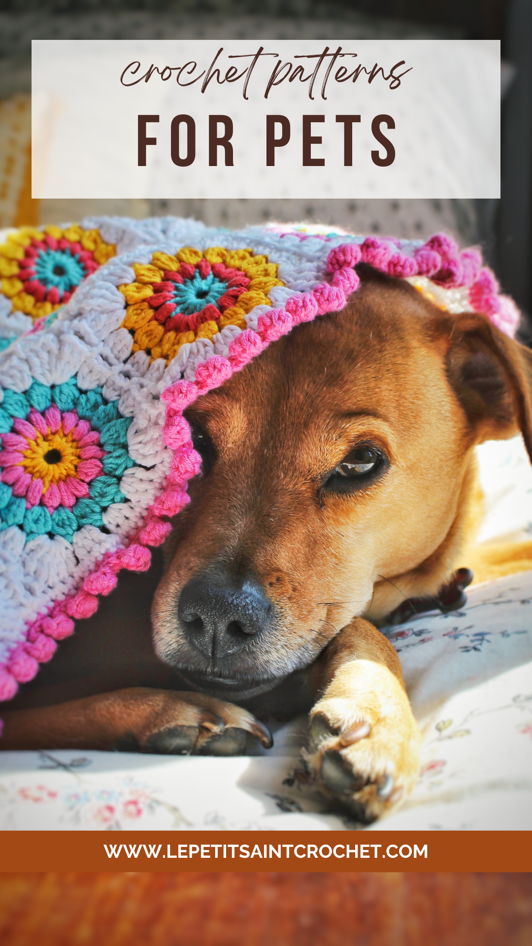8 Crochet Projects to Pamper Your Pets - Elise Rose Crochet